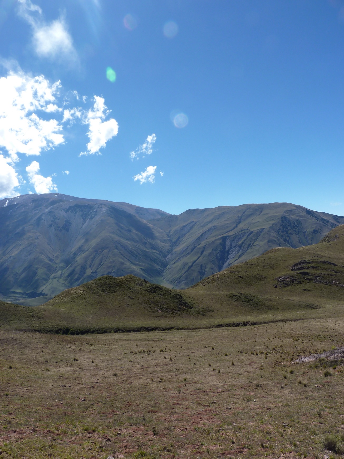 condor country | A Bushsnob out of Africa