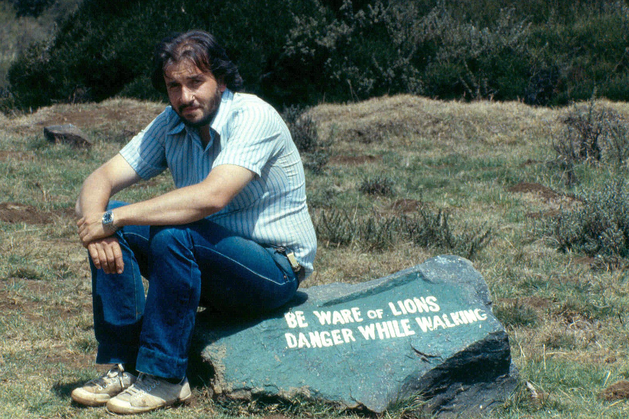 Bad lions | A Bushsnob out of Africa