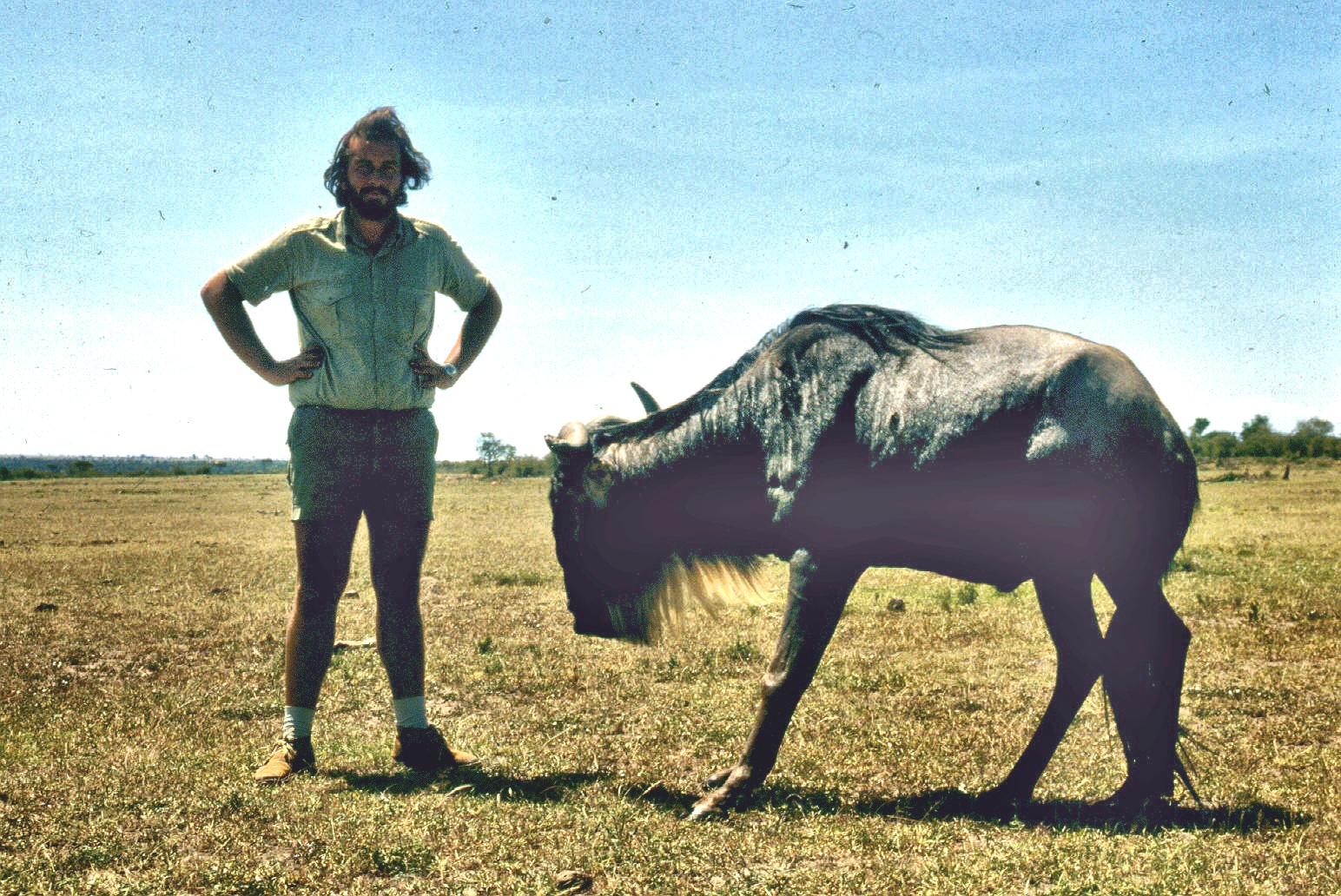 Wild rodeo | A Bushsnob out of Africa