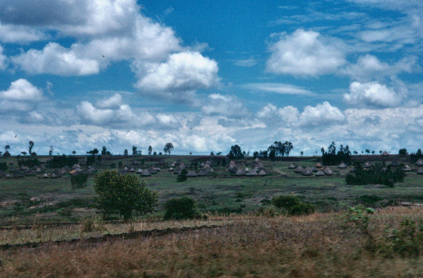 To Ethiopia! | A Bushsnob out of Africa