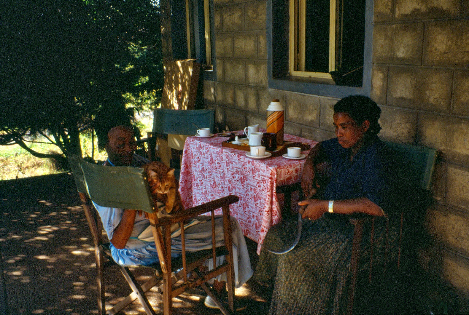 Bedele, settling in | A Bushsnob out of Africa