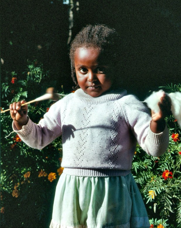 Bedele, first impressions | A Bushsnob out of Africa