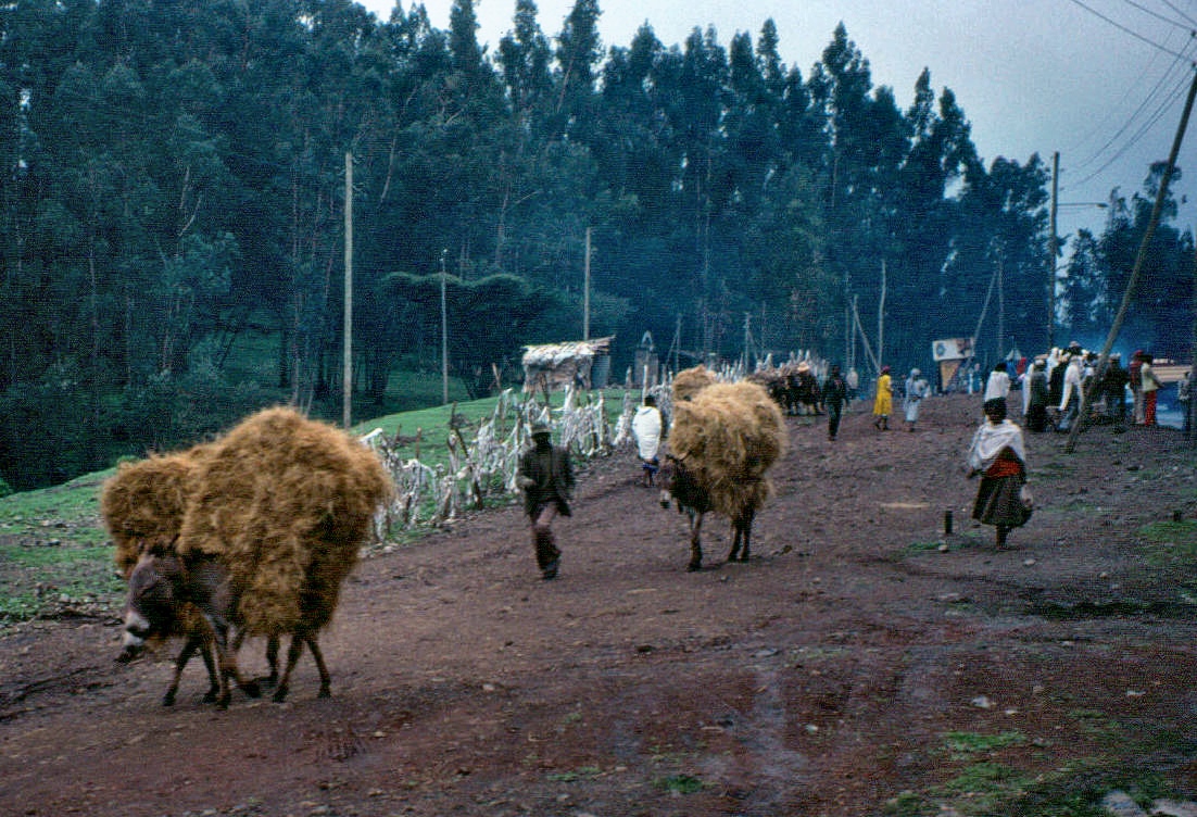 To Bedele, loaded | A Bushsnob out of Africa