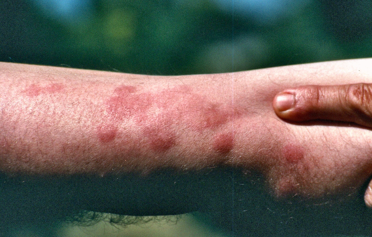 The Didessa river valley | A Bushsnob out of Africa