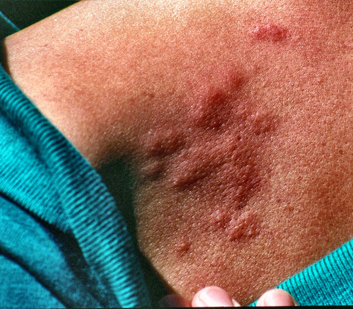 The Didessa river valley | A Bushsnob out of Africa