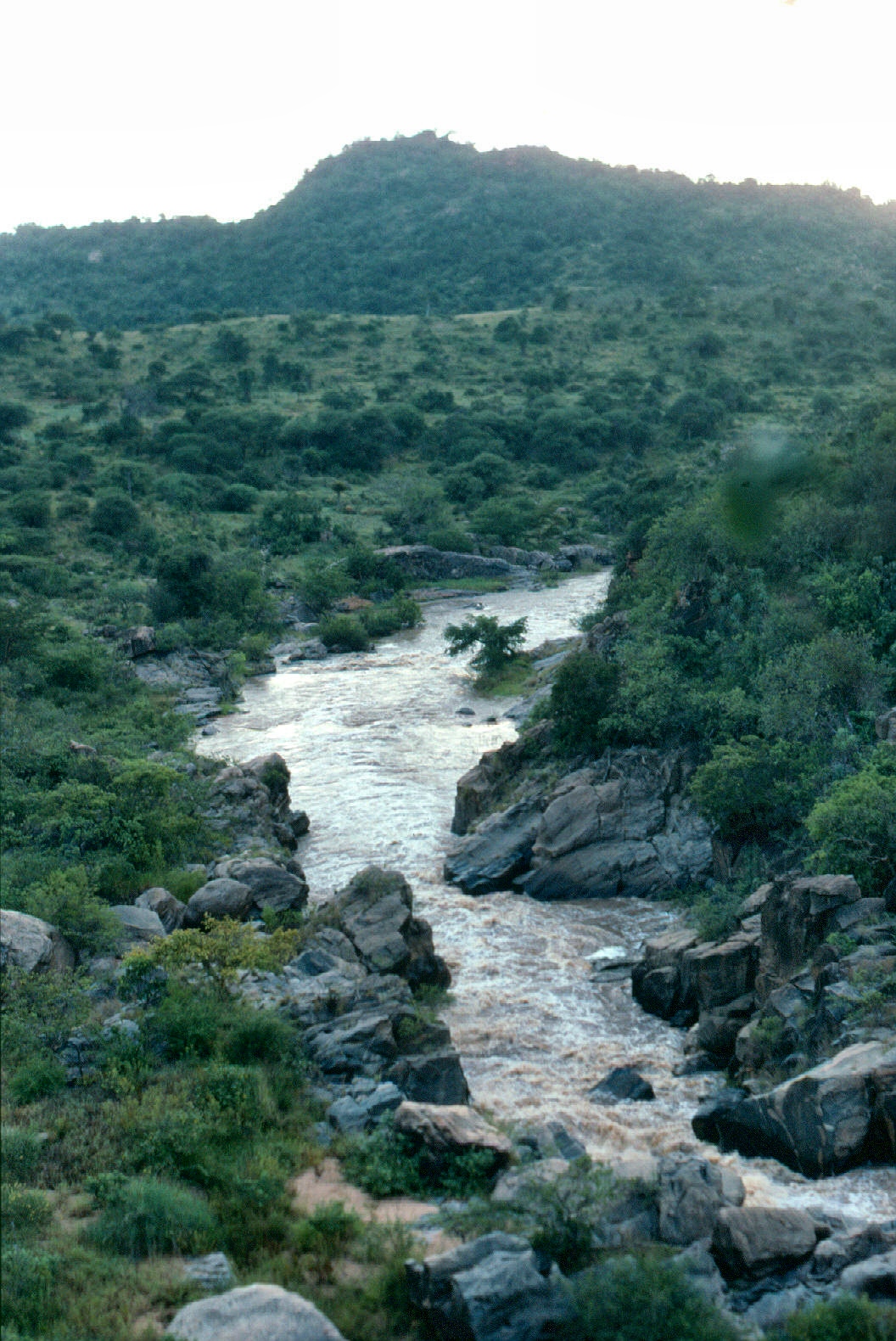 Gambela | A Bushsnob out of Africa