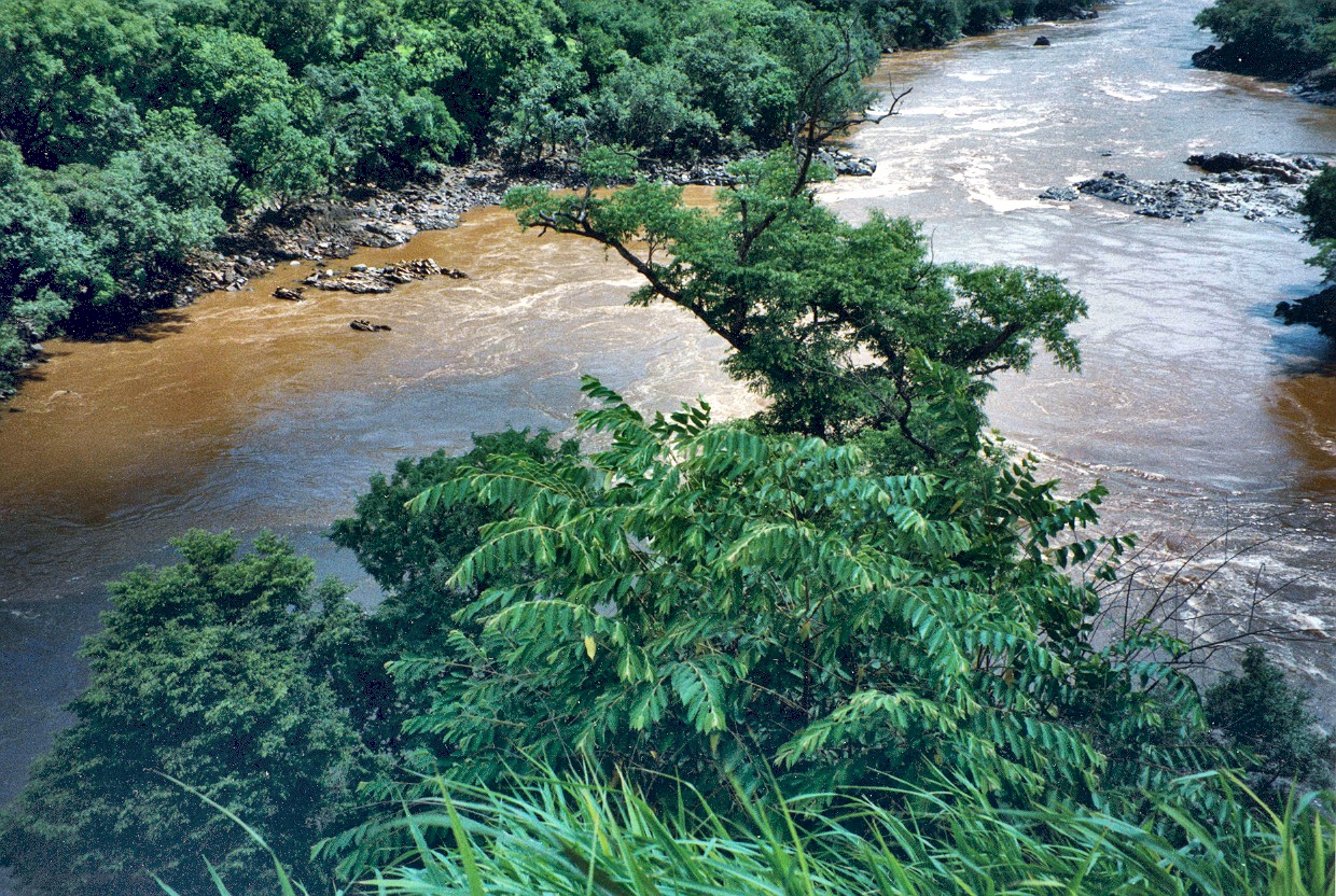 Gambela | A Bushsnob out of Africa